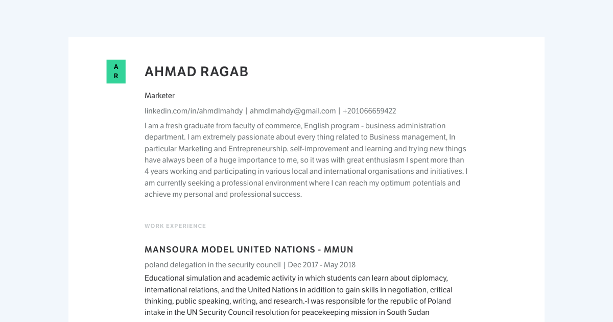 Ahmad Ragab's Resume | poland delegation in the security council at ...